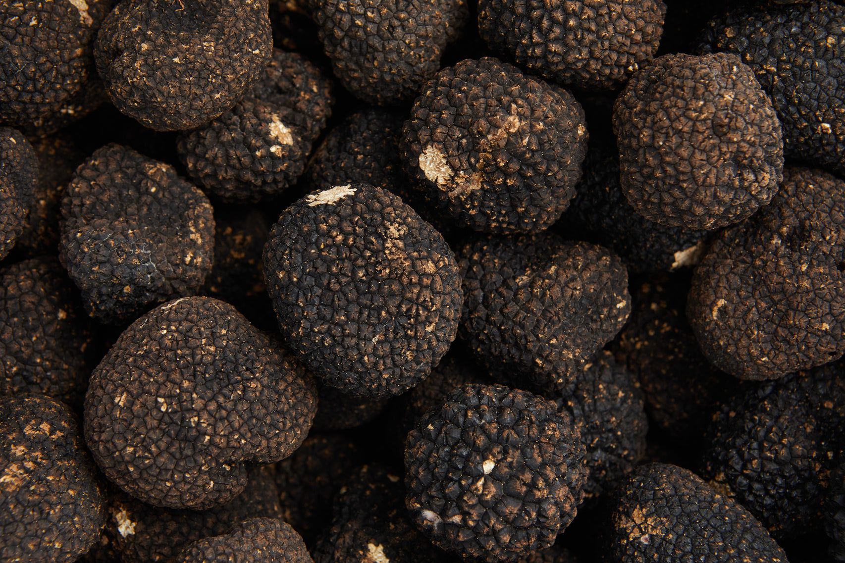 Your Destination for Fresh Truffle Products | Truffle Dealers