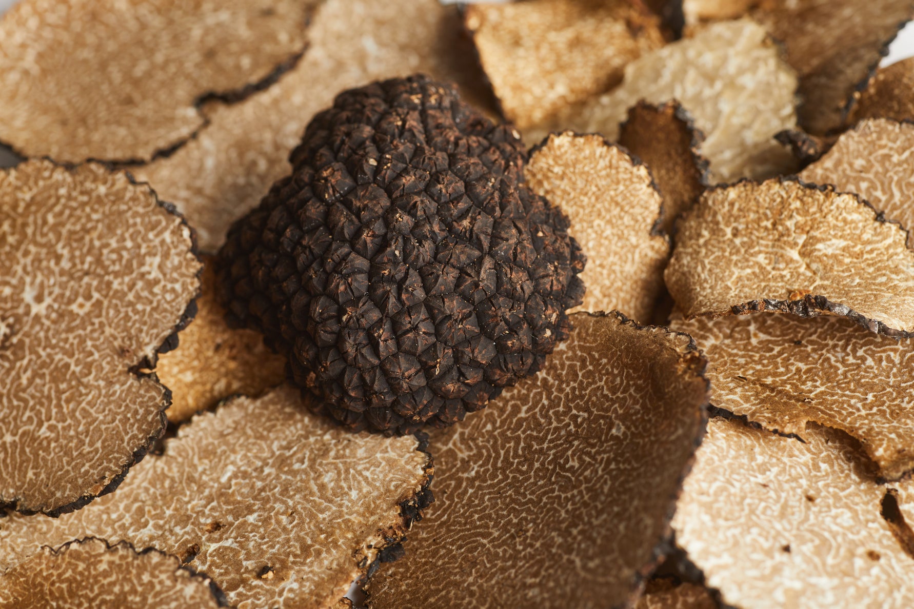 Your Destination for Fresh Truffle Products | Truffle Dealers