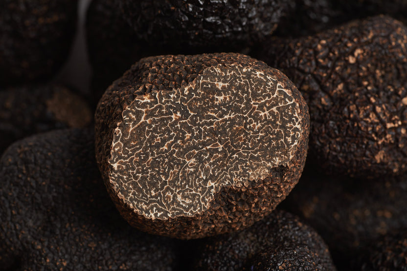 Your Destination for Fresh Truffle Products | Truffle Dealers